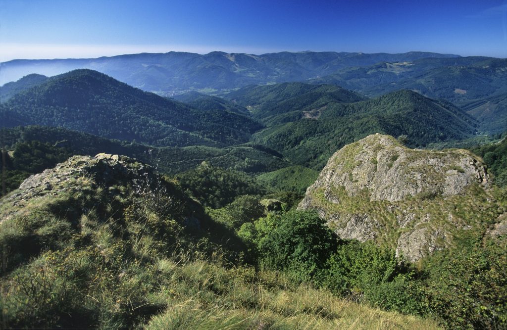 Enjoy a tourism experience in the Grand Est - Grand Est - EN