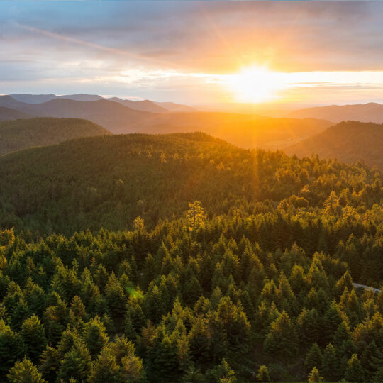 Découvrir les richesses du Grand Est - GrandEst