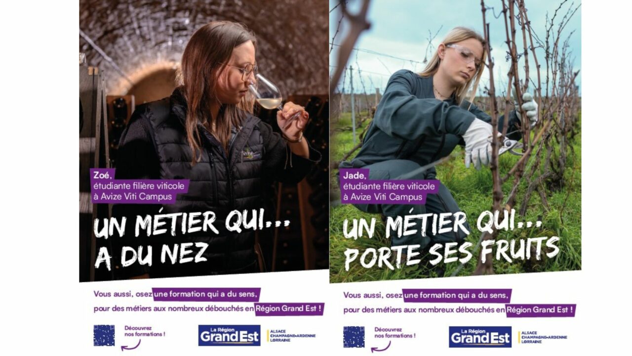 Une nouvelle étable pour le lycée agricole Edgard Pisani - GrandEst